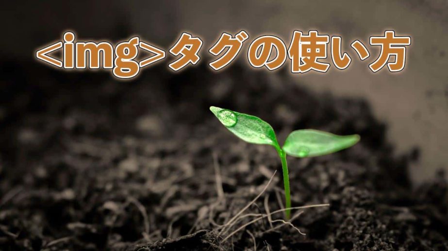 【JavaScript】exceljsでExcel/CSV両方で出力できる機能を実装する | でざなり